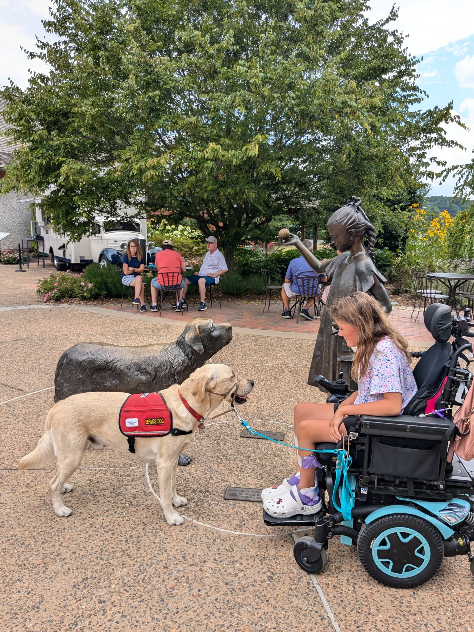 Paws Giving Independence - Illinois Service Dog Program